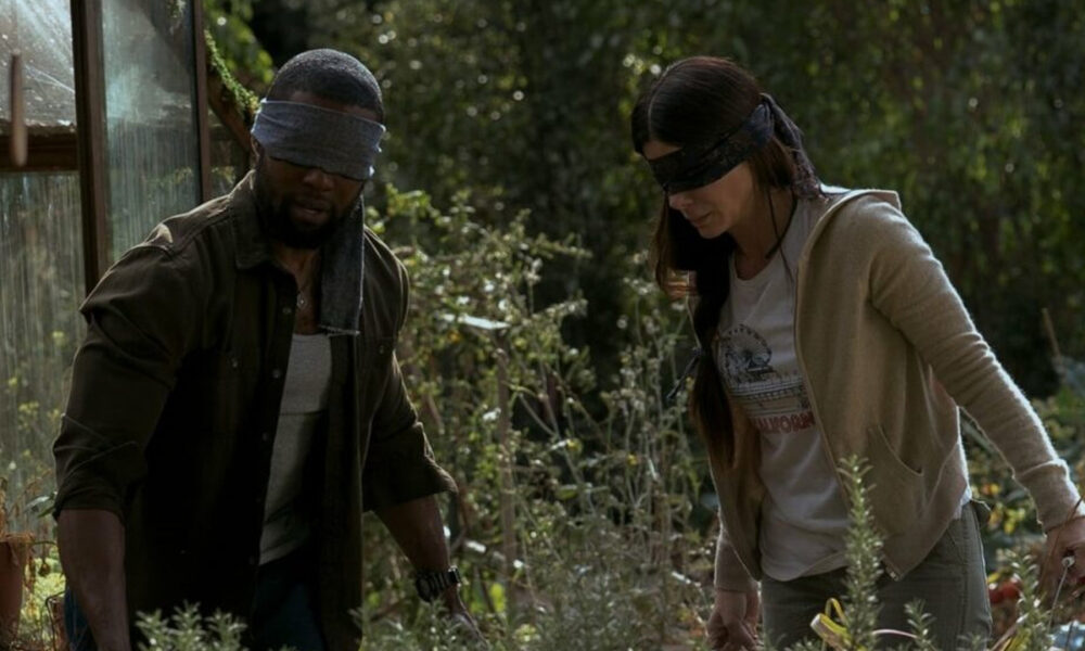 Bird Box 2 Release Date & Spoiler And All Other Details! - RegalTribune